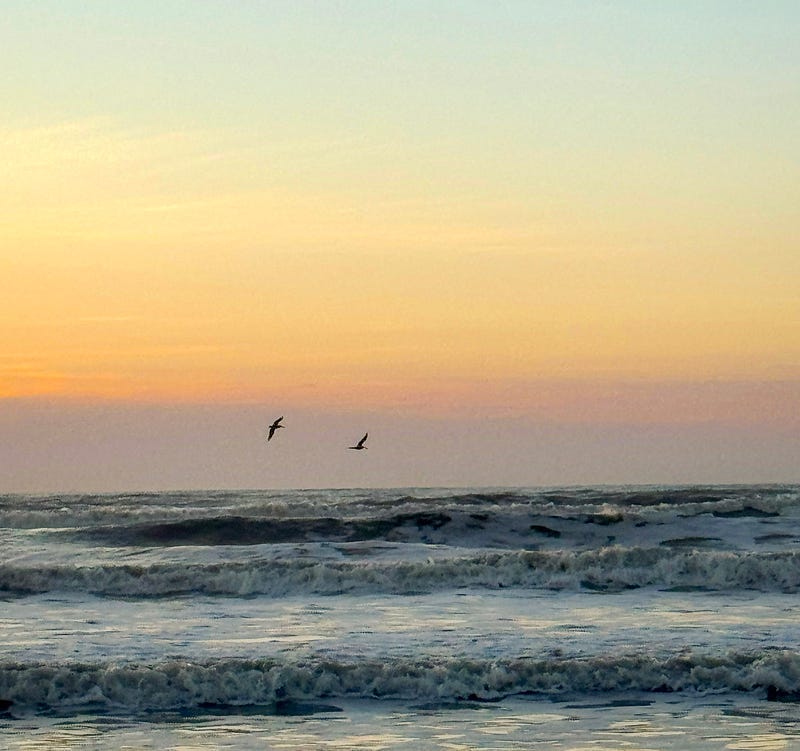 Our New Home. Theres no place for me to call home… | by Babe Torres III | Feb, 2025 | Medium