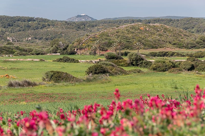 What is Menorca like in winter? | Portal Menorca Blog