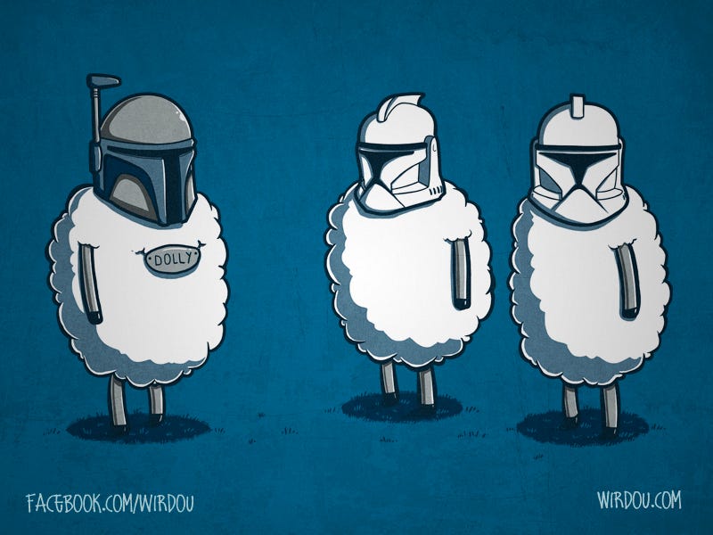 Shallow Copying Cloning Objects In Javascript By Serdar Tahir Kabaoglu Medium