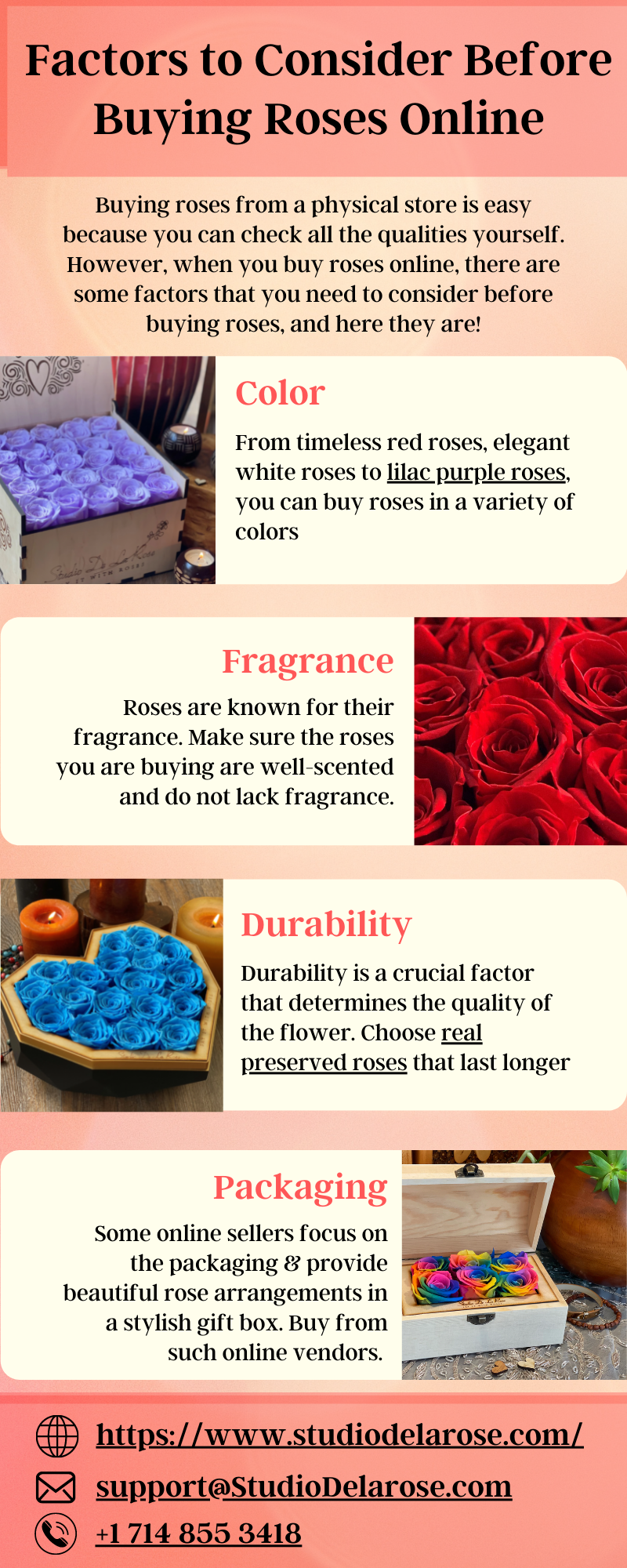 Factors to Consider Before Buying Roses Online - Studio De La Rose - Medium