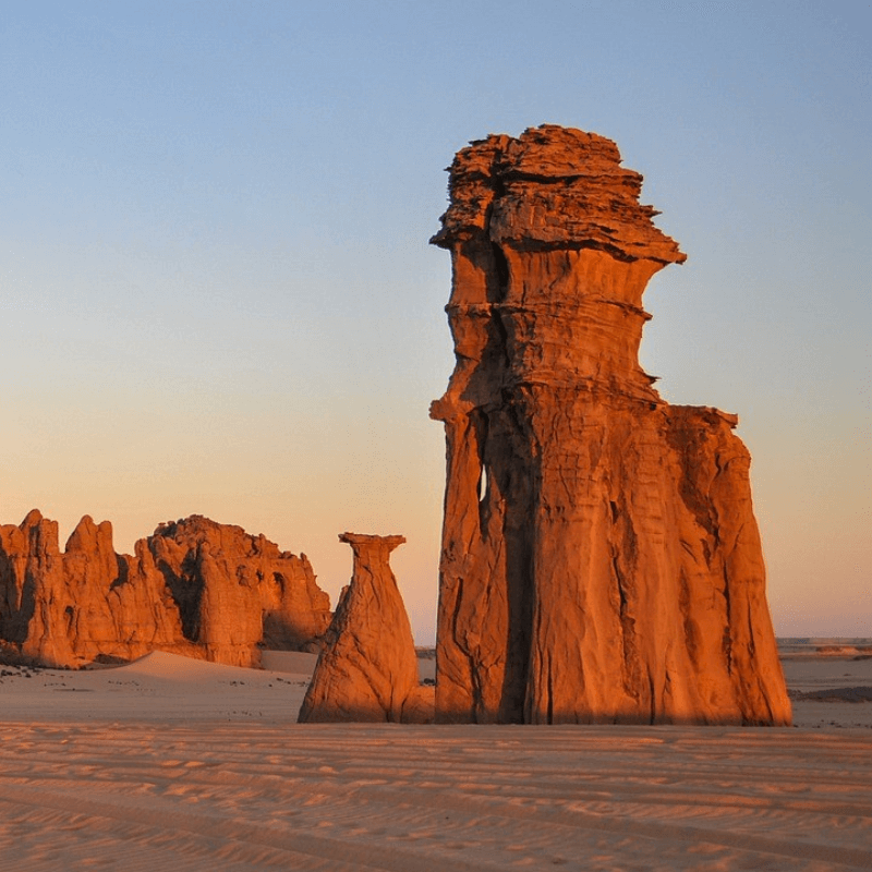 Algeria SIM Card For Travel: Stay Connected With Prepaid eSIM | by eSIM ...