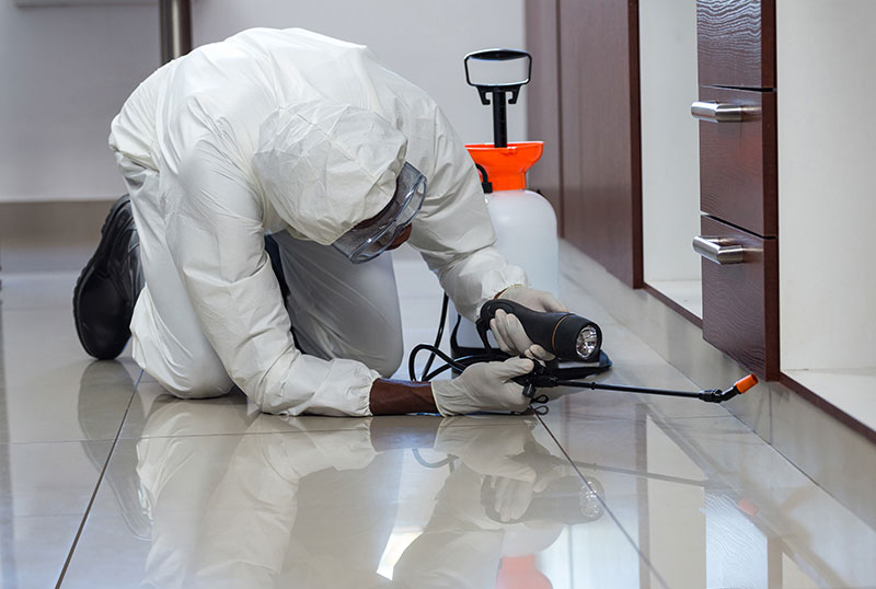 Pest Control Sand Springs, OK | Call (888) 691–3760 Pest Control Expert ...
