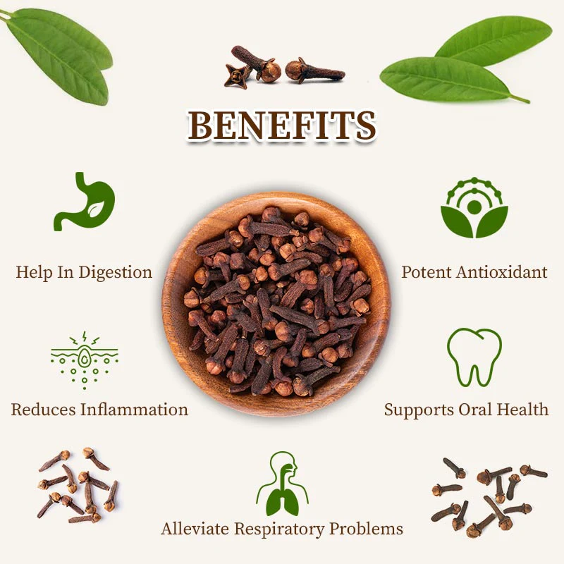 Unveiling the Potent Power of Clove: Nature’s Tiny Warrior | by ...