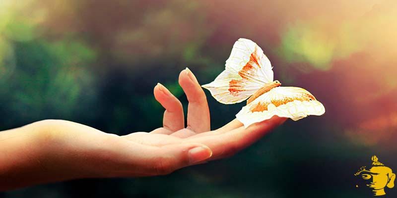 Los Cinco Preceptos. https://queeselbudismo.com/los-cinco-pre… | by Que ...