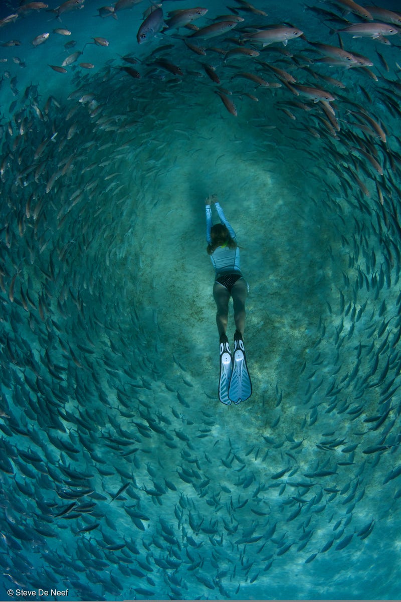 This week in Greenpeace pictures. Every day, people from all over the ...