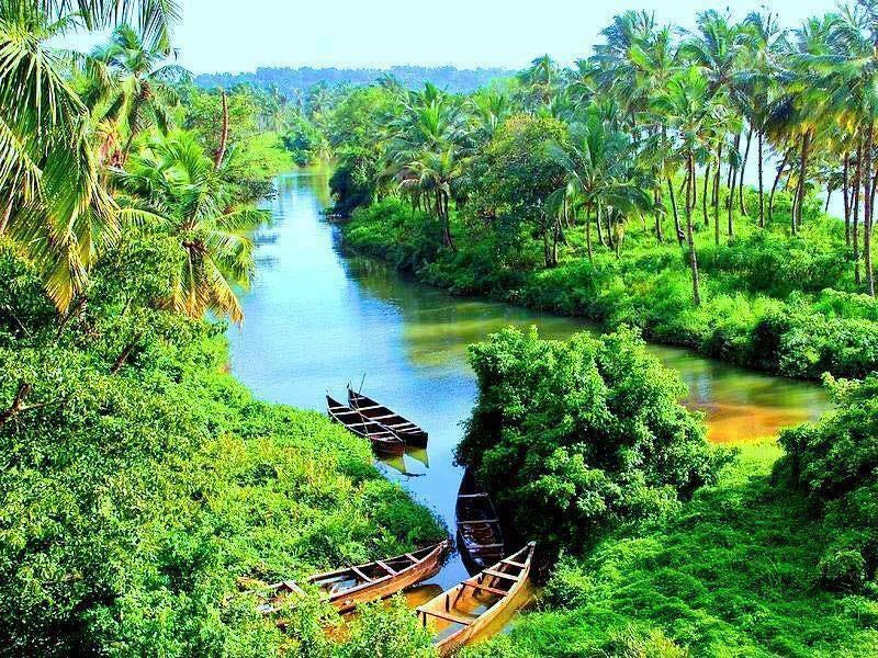 Malappuram — the land of forests, mountains and delicacies | by Kerala ...