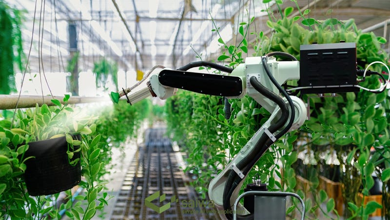 Harvesting Innovation: Deep Learning in Agriculture for Sustainable ...