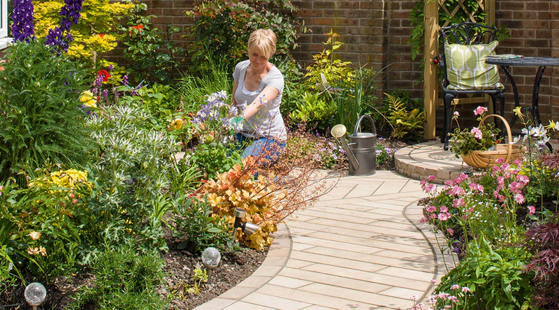 Innovative Gardening: Transforming Small Spaces into Green Sanctuaries ...