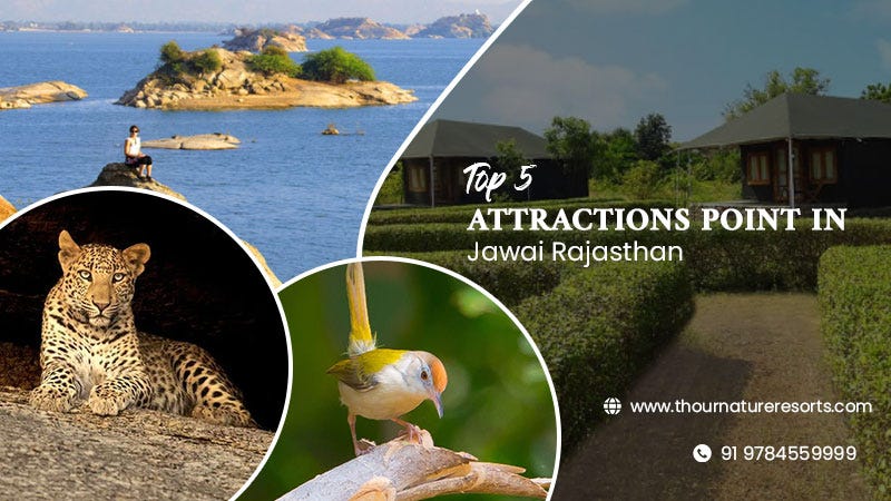 Top 5 Attractions Point in Jawai Rajasthan | by Aman Amarwal | Apr ...