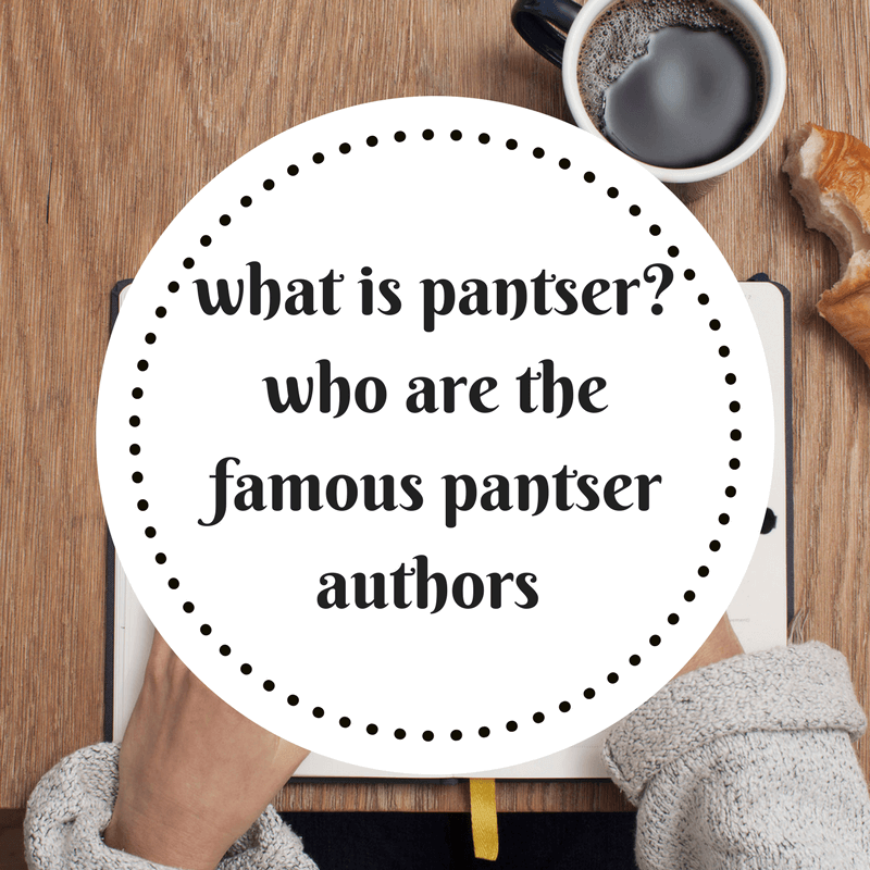 What’s a pantser?. A panster is a writer who doesn’t plot… | by J.S ...