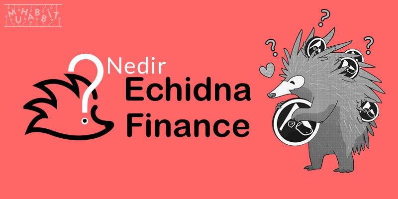 Echidna Finance Nedir?. Platypus Finance’in ortaya koyduğu… | by Muhabbit | Medium
