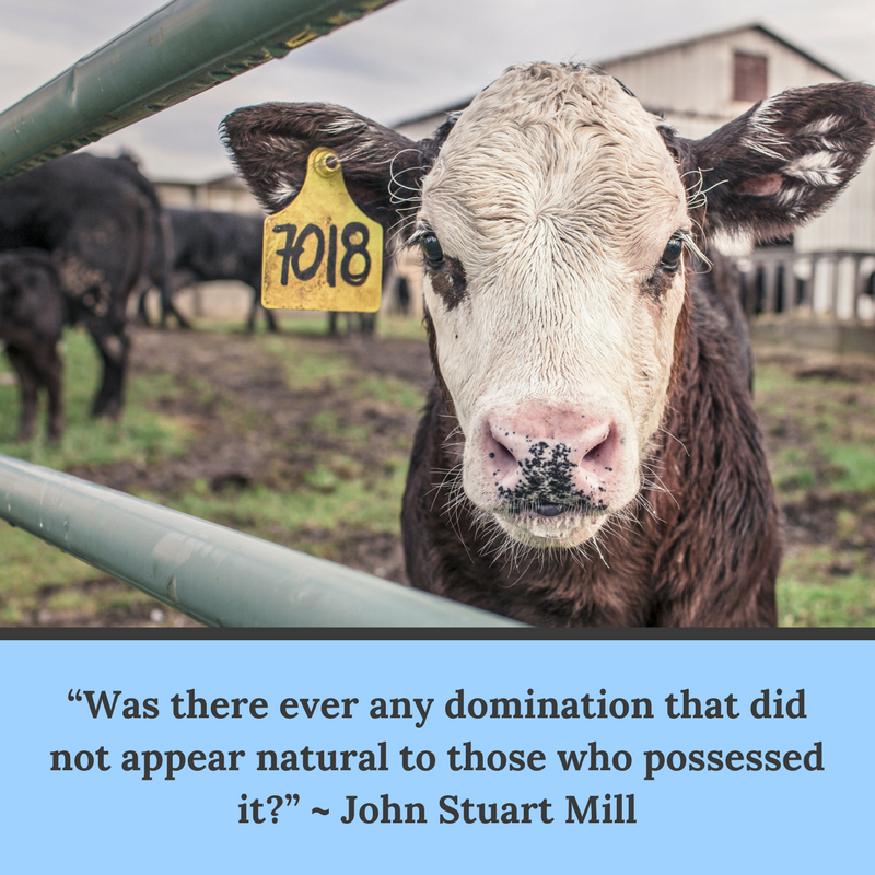 Animal rights, social justice and the “five faces of oppression”: Part ...