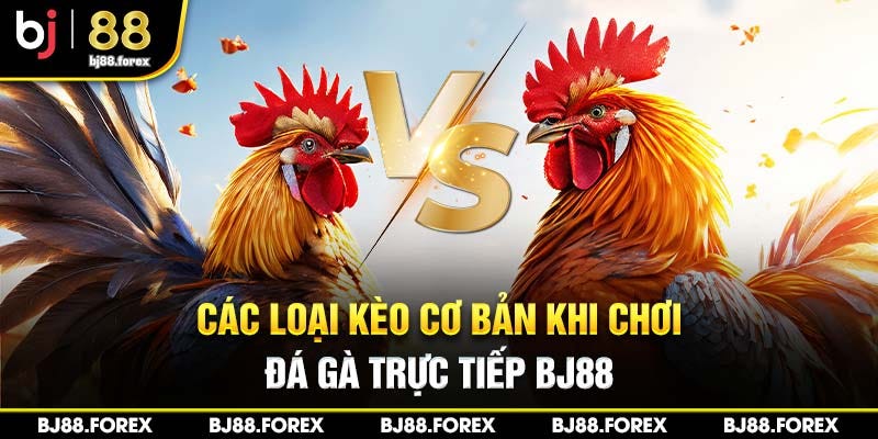 da ga bj88. Cockfighting, known as đá gà, is a… | by bj88forex | Aug, 2024 | Medium