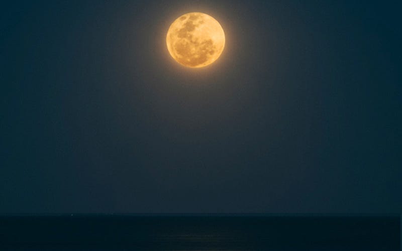 The Moon and the Ocean. Water, tide, sun, current, power… | by World ...