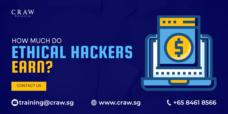 How Ethical Hackers Earn Money?. Introduction | by crawsecurity | Medium