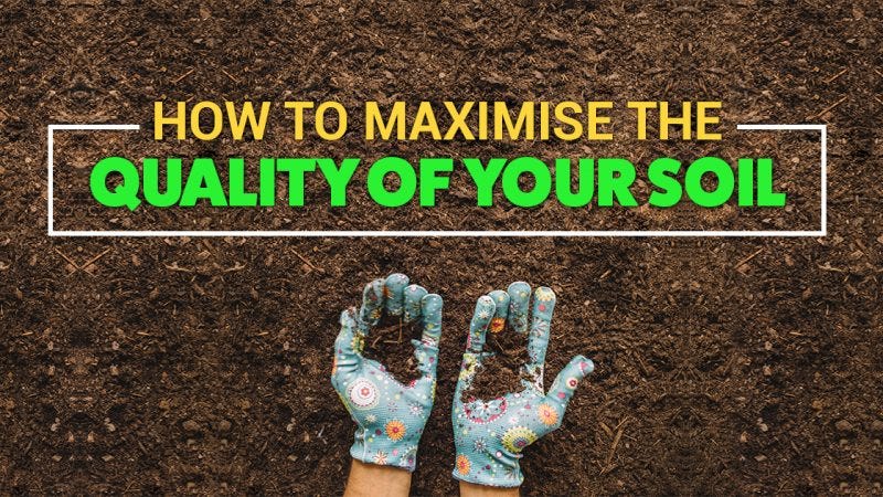 Know the quality of your soil by soil health testing services | by ...