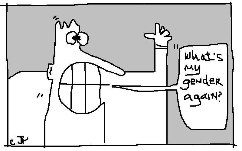 What’s My Gender Again?. A foundational question for many… | by Jay ...