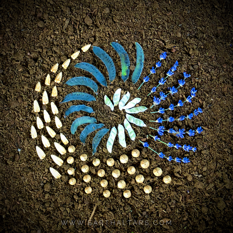 Post Growth Ripples: March 2021. How we helped the world get closer to ...