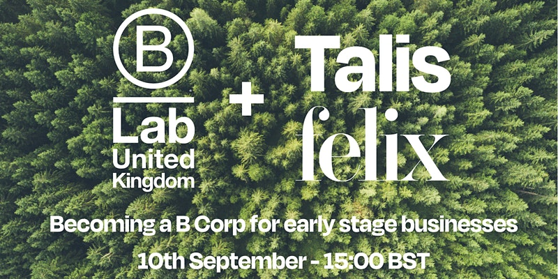 The steps to becoming a B Corp for early stage businesses 🌳 | by Emily ...