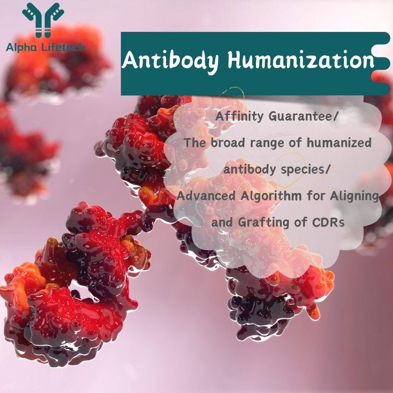 Humanized Mouse Models: Illuminating Immuno-Oncology Research-Alpha Lifetech | by Alpha Lifetech ...