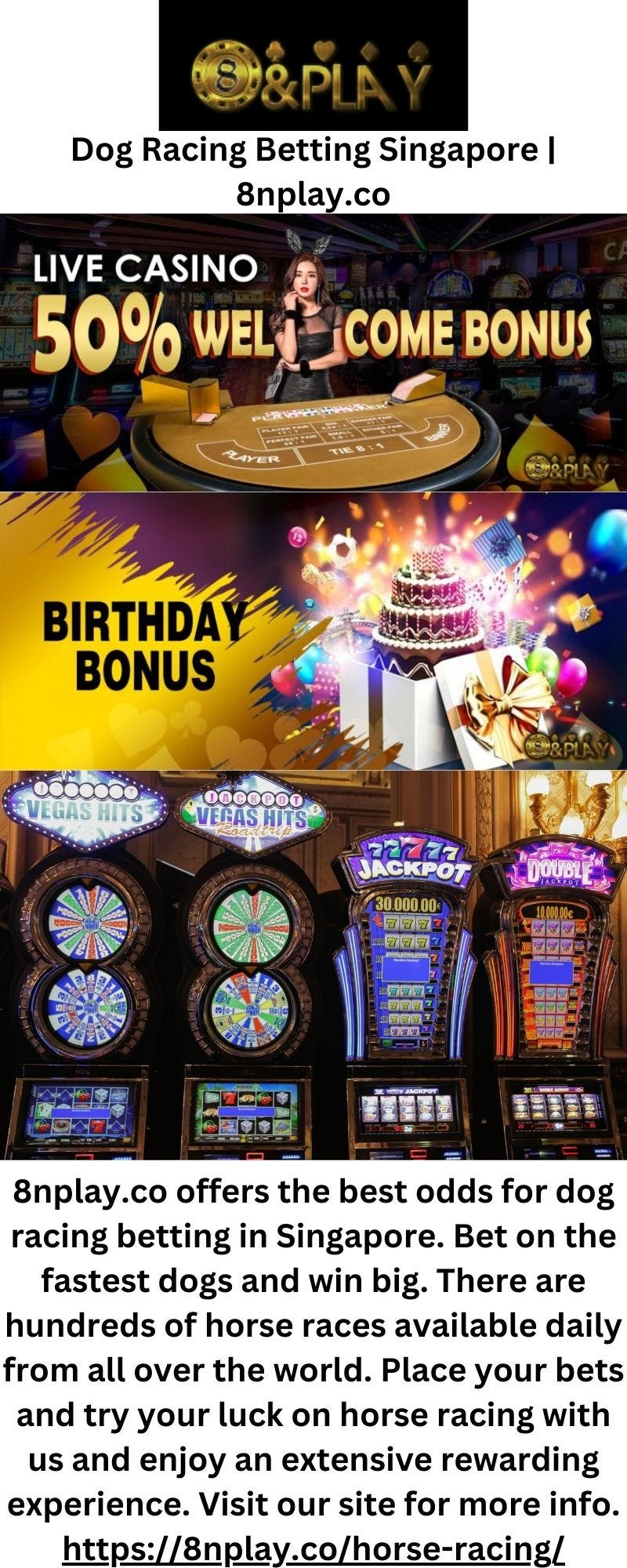 Dog Racing Betting Singapore | 8nplay.co - Nnplay - Medium