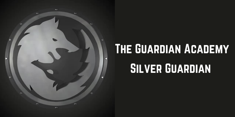 Silver Guardian (SG) NFT. How To Farm For The Guardian Academy… | by ...