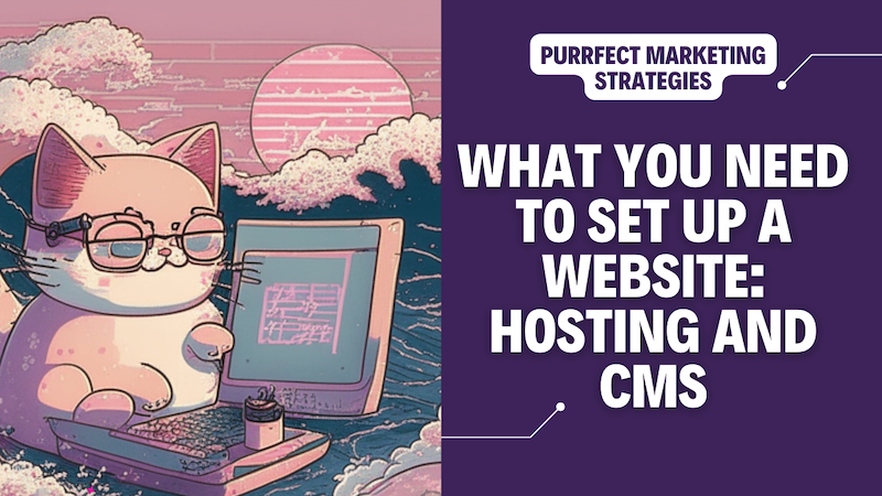 What you need to set up a website: hosting and content management ...