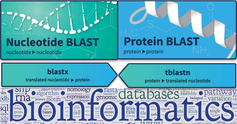 Bioinformatics: Where Biology Meets Coding for Mind-Blowing Discoveries ...