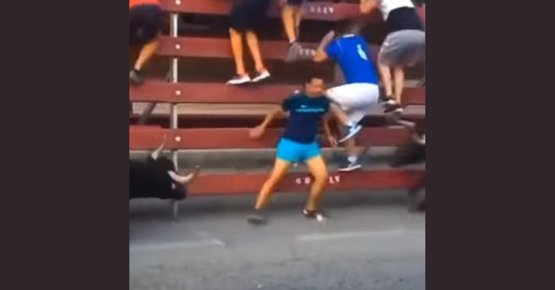 Bull Hit a Man Hard! - Worldnewads - Medium