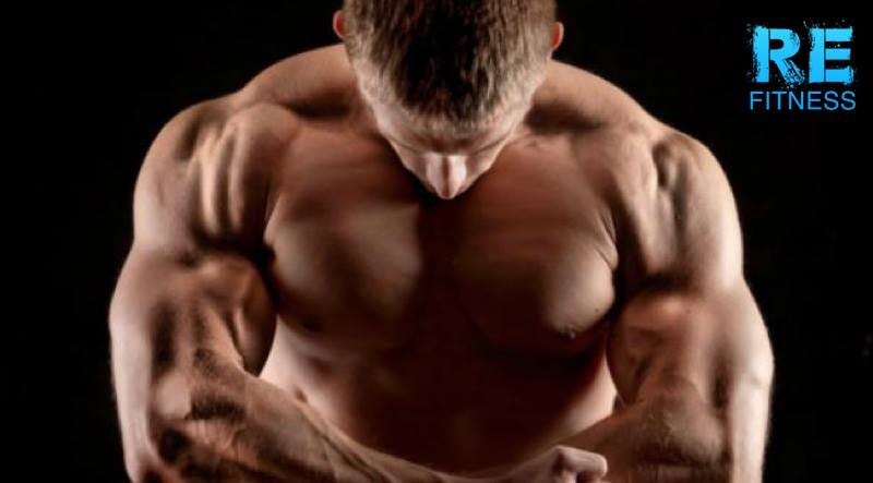 Build Better Delts by Avoiding These Side Lateral Mistakes | by Ryan ...