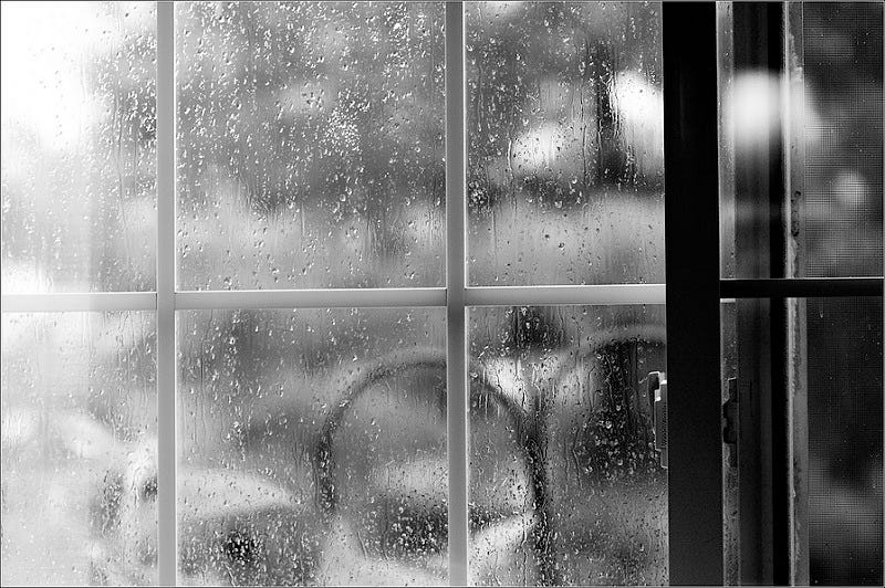 Light Rain. Dawn peeks through a screen of clouds, | by Jillian ...