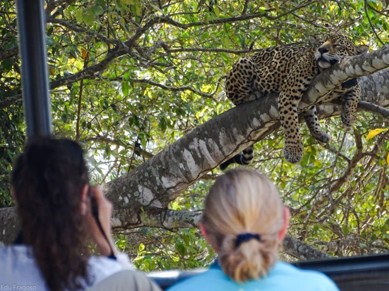 Turismo Regenerativo: o movimento que busca ir além da sustentabilidade, transformando destinos ...