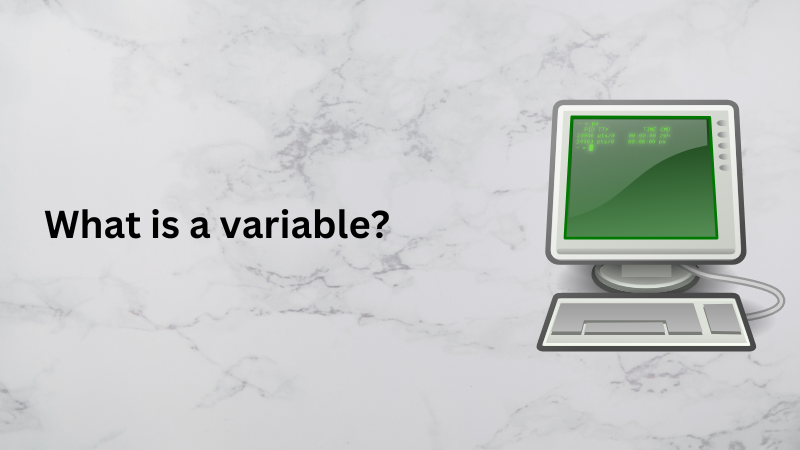 Coding Variables As Digital Rental Space And How To Use Them Like A Pro