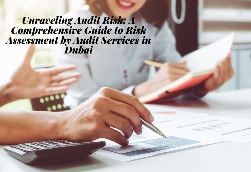 Unravelling Audit Risk: A Comprehensive Guide to Risk Assessment by ...