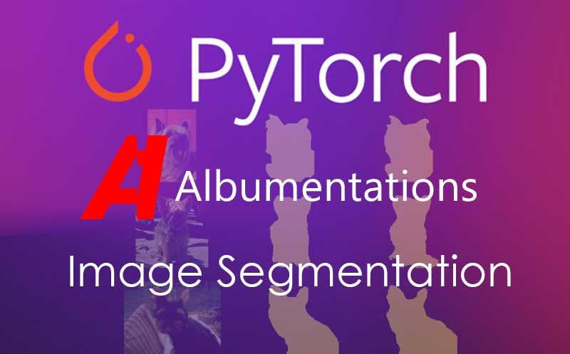 PyTorch and Albumentations for Image Segmentation - Mark Ai Code - Medium