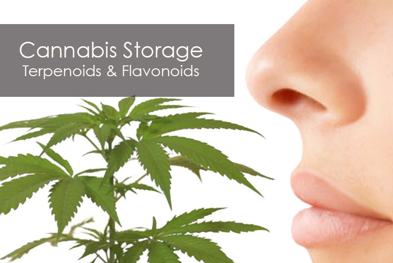 A Brief History & Overview of Medicinal Marijuana | by Gilbert Duke ...