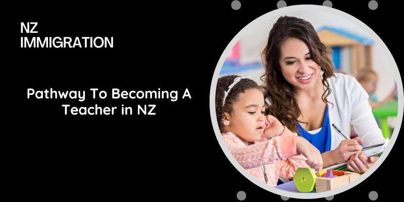 Pathway To Becoming A Teacher in NZ - ROSS TAYLOR - Medium