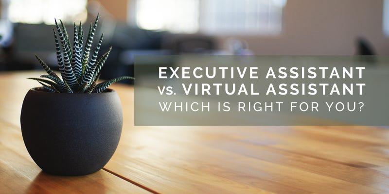 Executive Assistant vs. Virtual Assistant | by Don't Panic Mgmt | Medium
