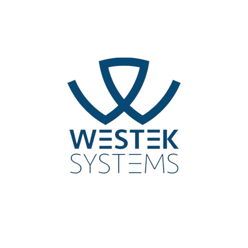 Choosing the Right Electronic Security System Services for Your Needs | by Westek Systems | Aug ...