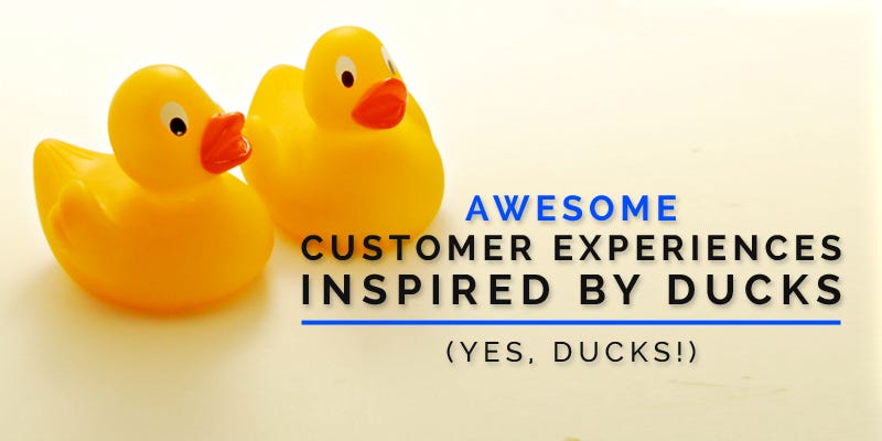 Awesome Customer Experience Inspired by Ducks | by Don't Panic Mgmt ...