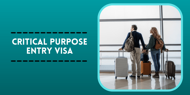 Critical Purpose Entry Visa - ROSS TAYLOR - Medium