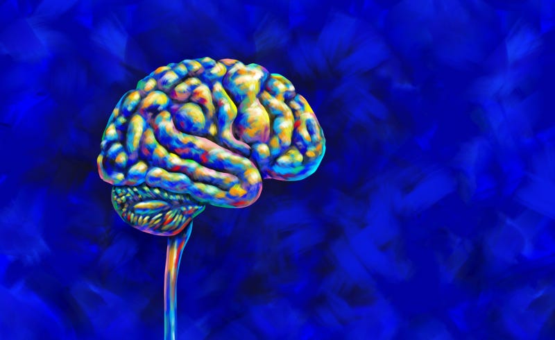Neurobiology | Connectome: Hallucination Modeling of LLMs and ...