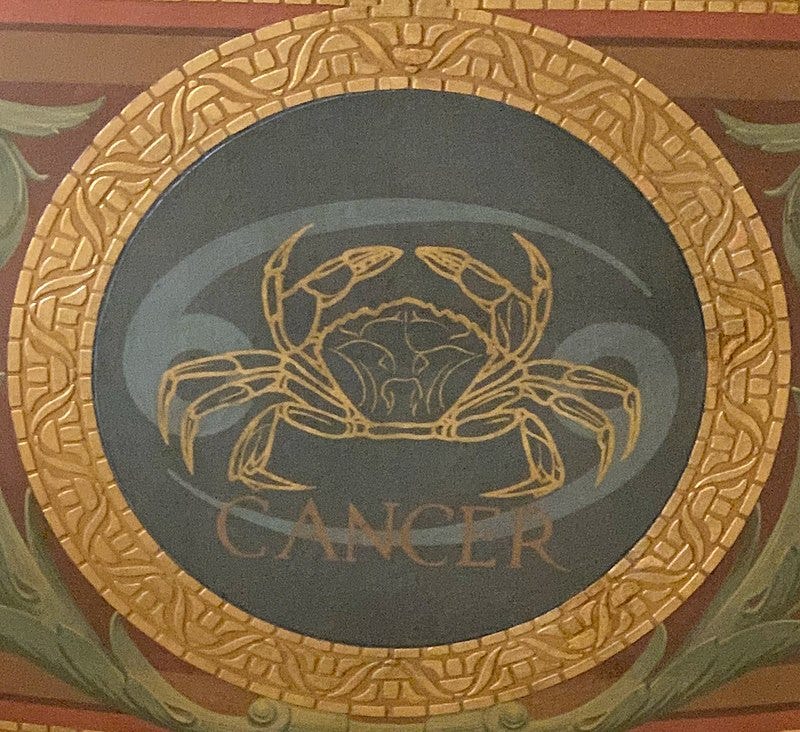July Is A (Very) Special Month. The Crab | by Marc Barham | Rainbow ...