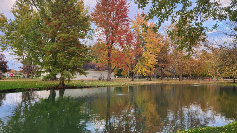 11 Things I’m Thankful For This Year as a Late-Diagnosed Autistic ...