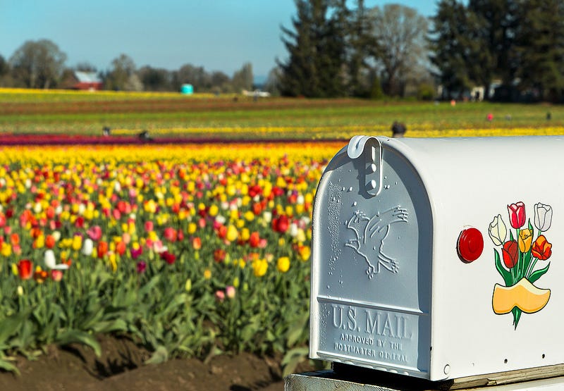 A Fan Letter to the Suburban Romance Writers Blog | by Barry Knister ...