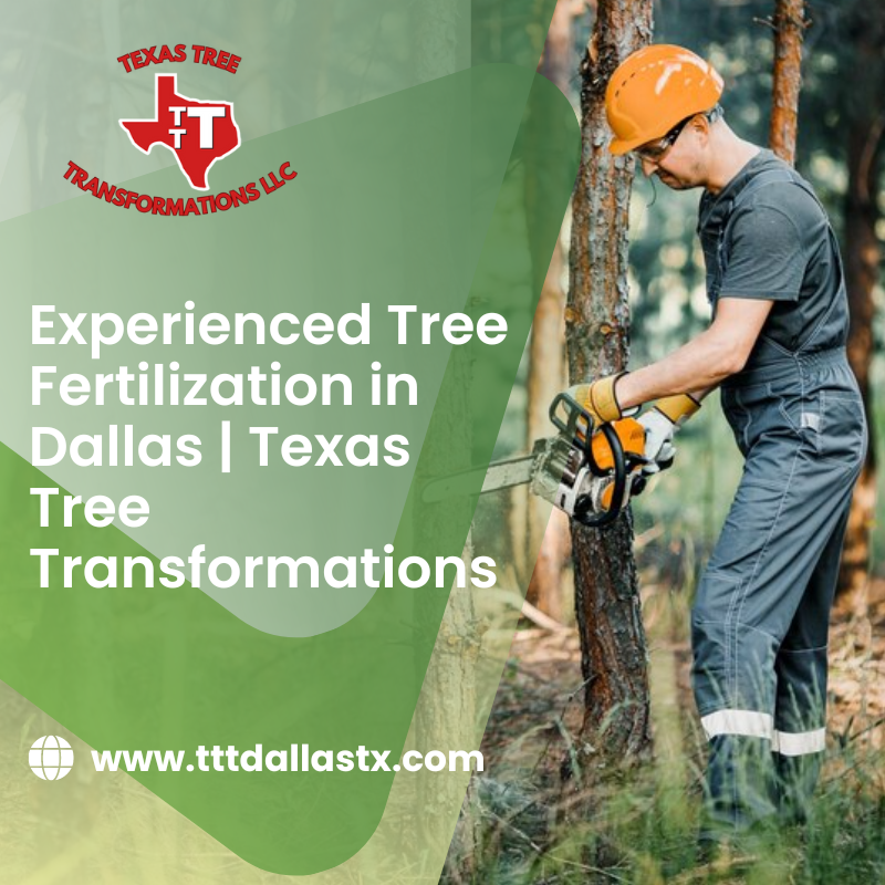 Experienced Tree Fertilization in Dallas | Texas Tree Transformations - Texas Tree ...