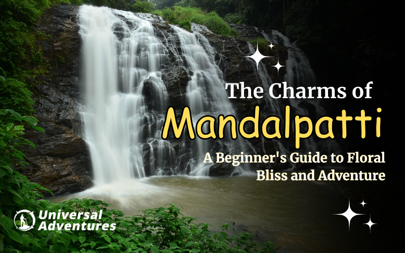 The Charms of Mandalpatti: A Beginner’s Guide to Floral Bliss and ...