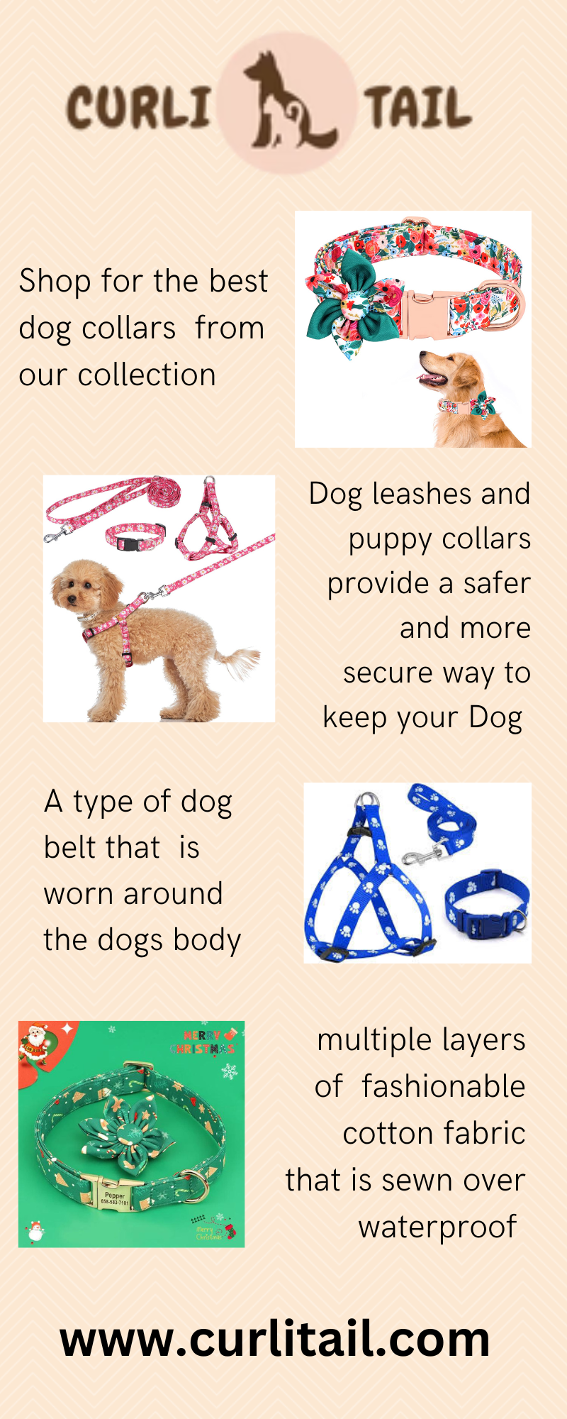 Exploring Different Types of Puppy Collars in the USA | Pet Collars ...