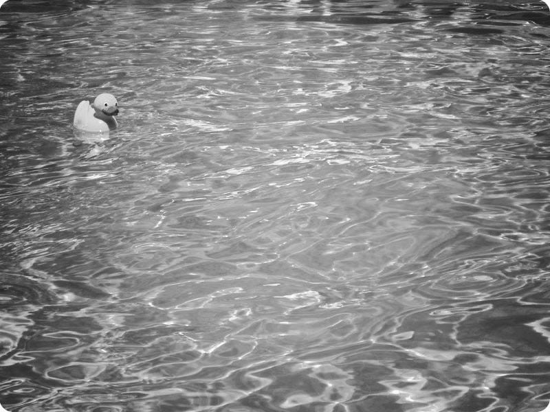 Poolside. Ty- | by Caleb Garling | Shorter Letter | Medium