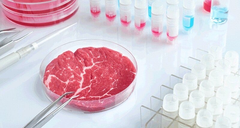Why is Cultured Meat Important for the Survival of Human Race? | by ...